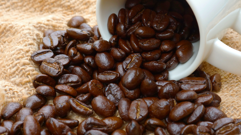 The Arabica Coffee: Origin And Compelling Reasons Behind Its Dominance ...